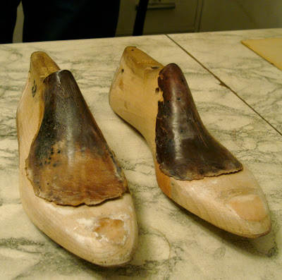 Tadeusz Januszkiewicz, szewc, ul. Chmielna 10.