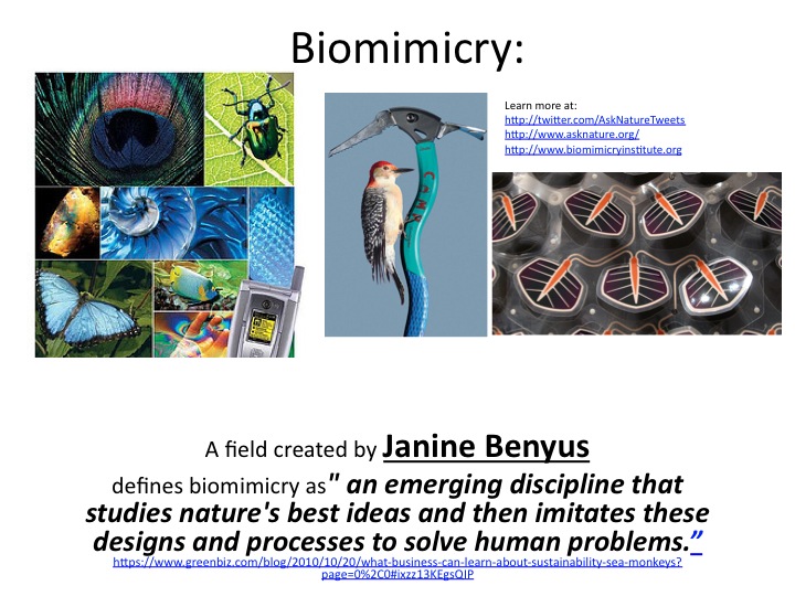 Hybrids of Art and Science: Slide lecture given about Biomimicry