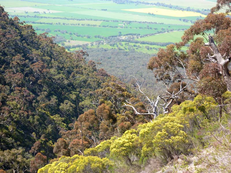 Alex and Bob`s Blue Sky Scotland: Mount Remarkable.Flinders Ranges.
