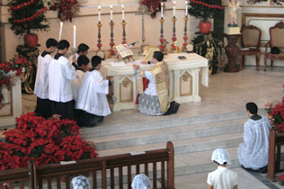 Clerical Whispers: Facts on Latin in the Roman Catholic Church