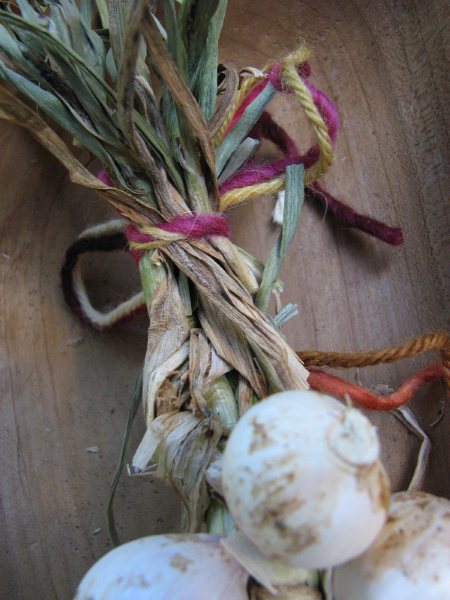 Syrendell: Plaiting Onions & Garlic