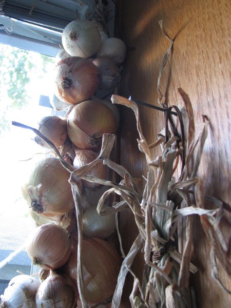 Syrendell: Plaiting Onions & Garlic