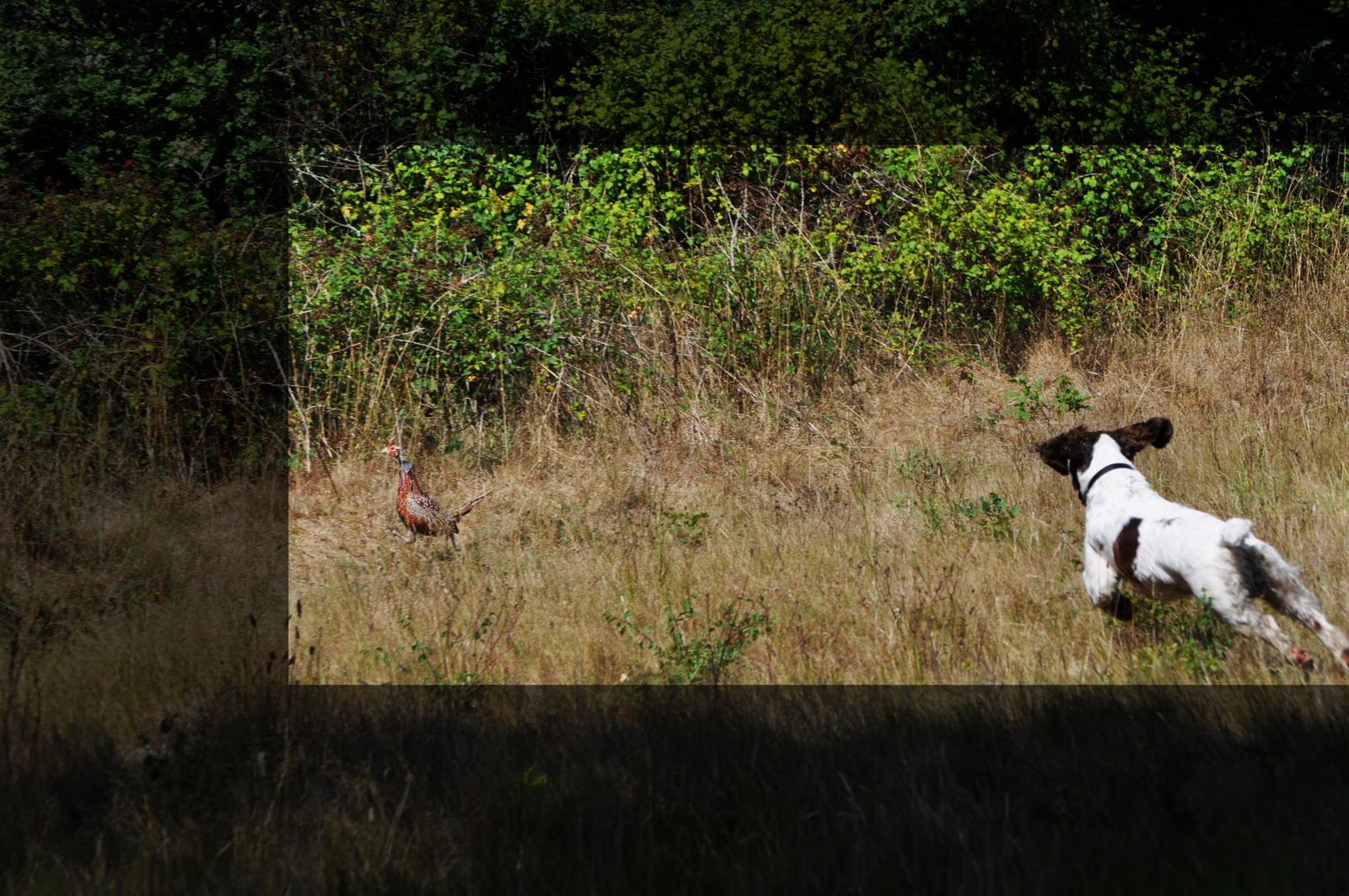 My Photography: TAOP - Part 1 - Exercise 9 - Cropping