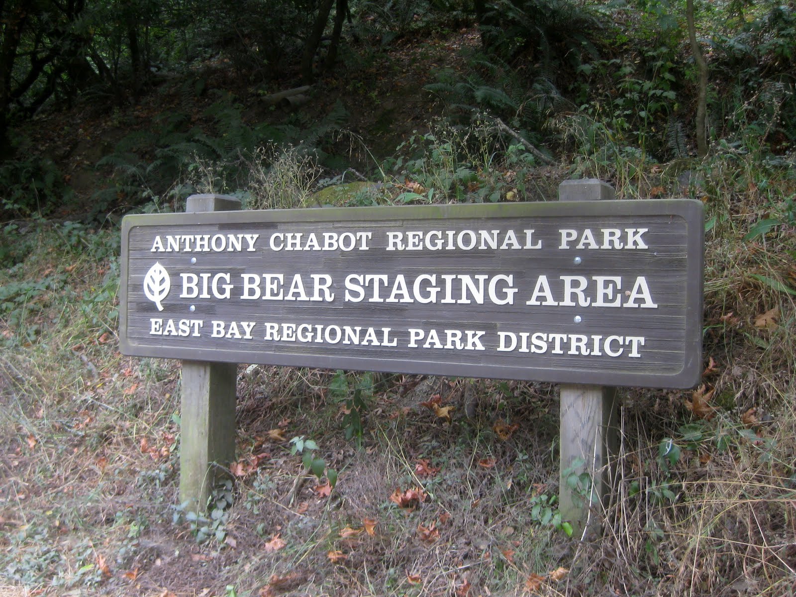 Stumbling Toward Fitness: Bay Area Ridge Trail: East Bay - Chabot