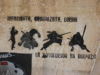 Suzanne Potter: Political Graffiti (Mexico)