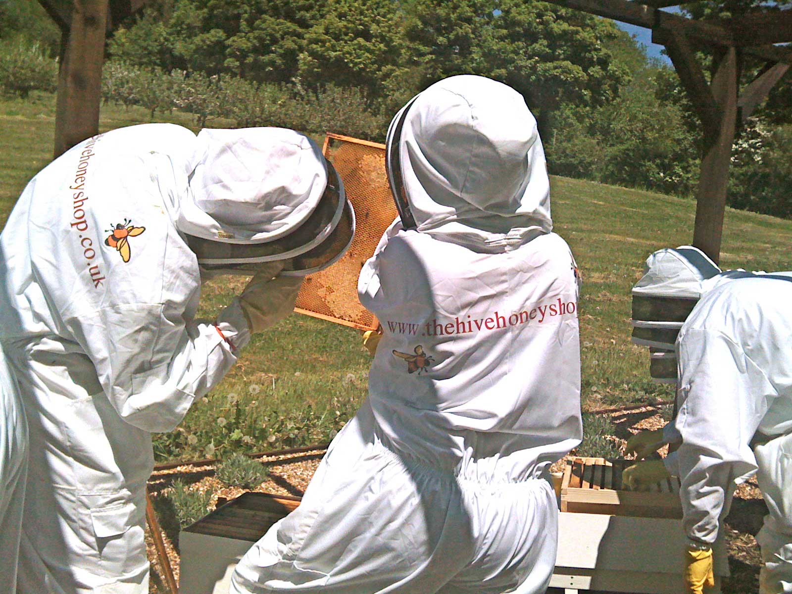 Beekeeping Course Ends, Next one in July!