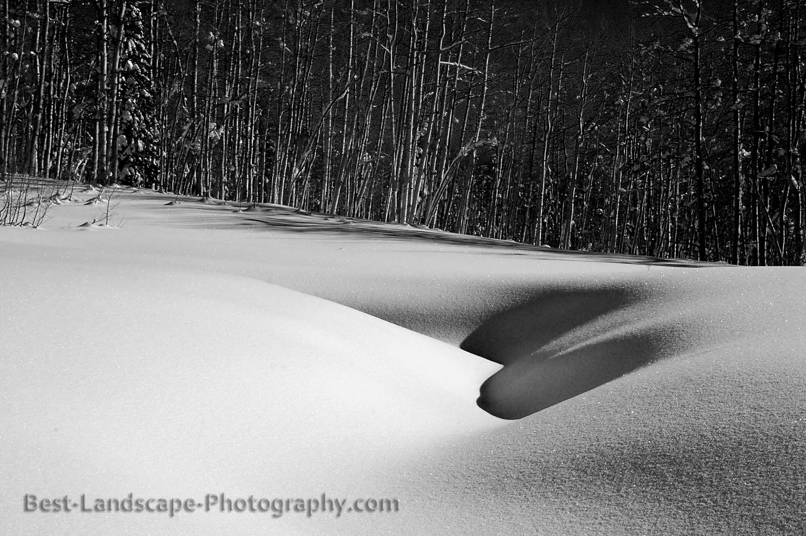 Landscape and Nature Photography: Snowscape in both color and black & white