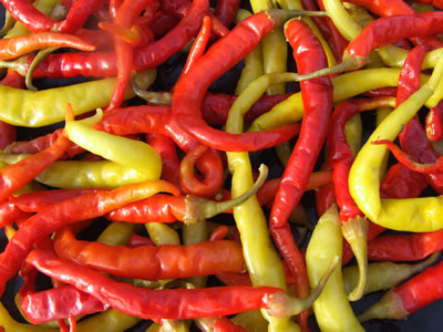 la cuina de les 1000 espècies: BITXO / GUINDILLA