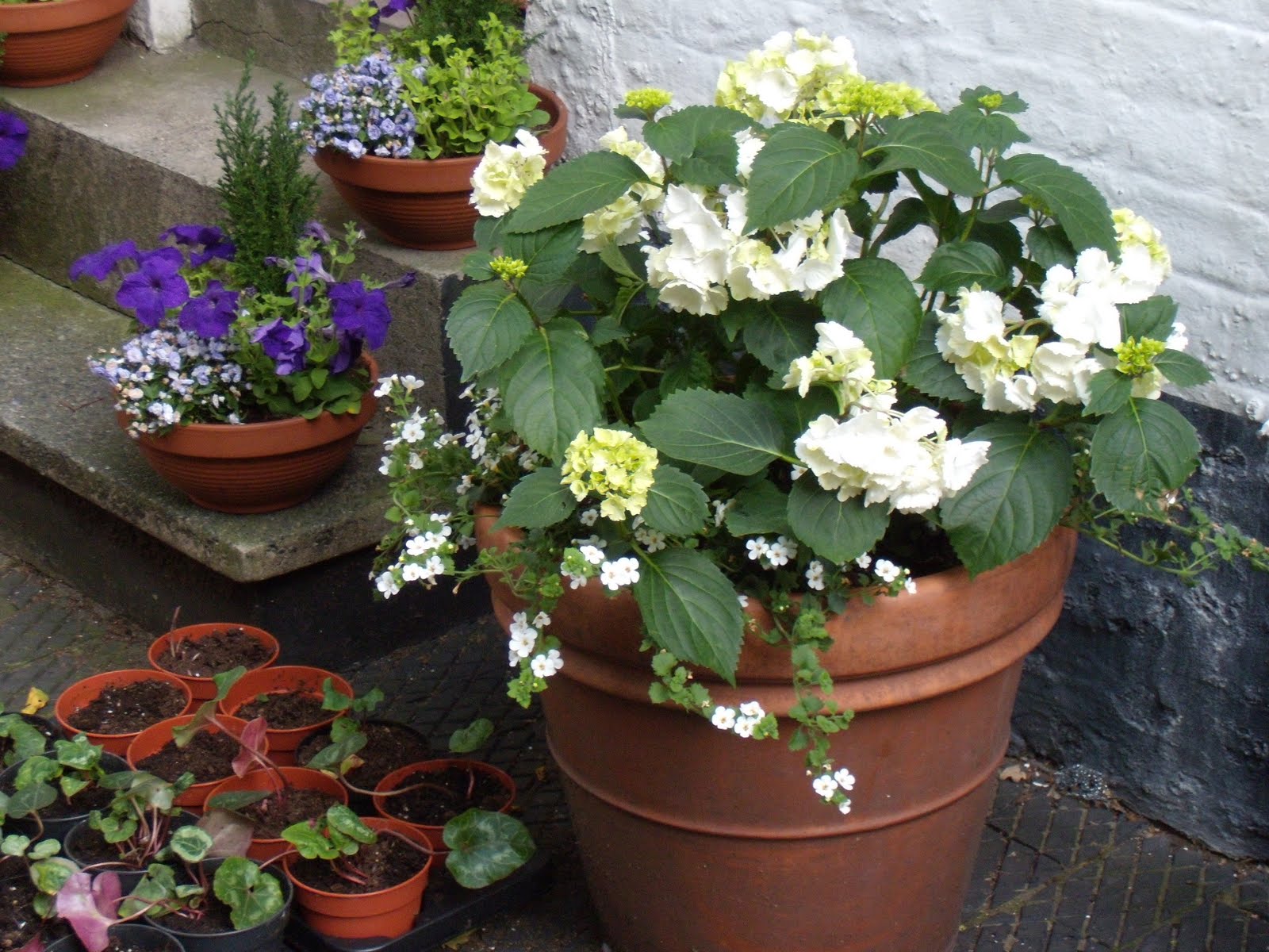 Sunday in the Park – Part Two – Number One London