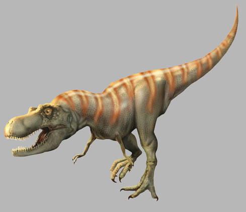 Arkeolog Mahendra Chicko Wilran: Albertosaurus