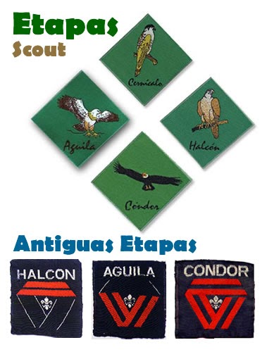 Tropa: ETAPAS SCOUTS