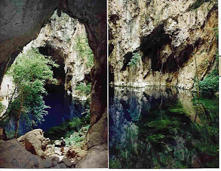 τα κοάλα τίποτα!: Δεκεμβρίου 2009