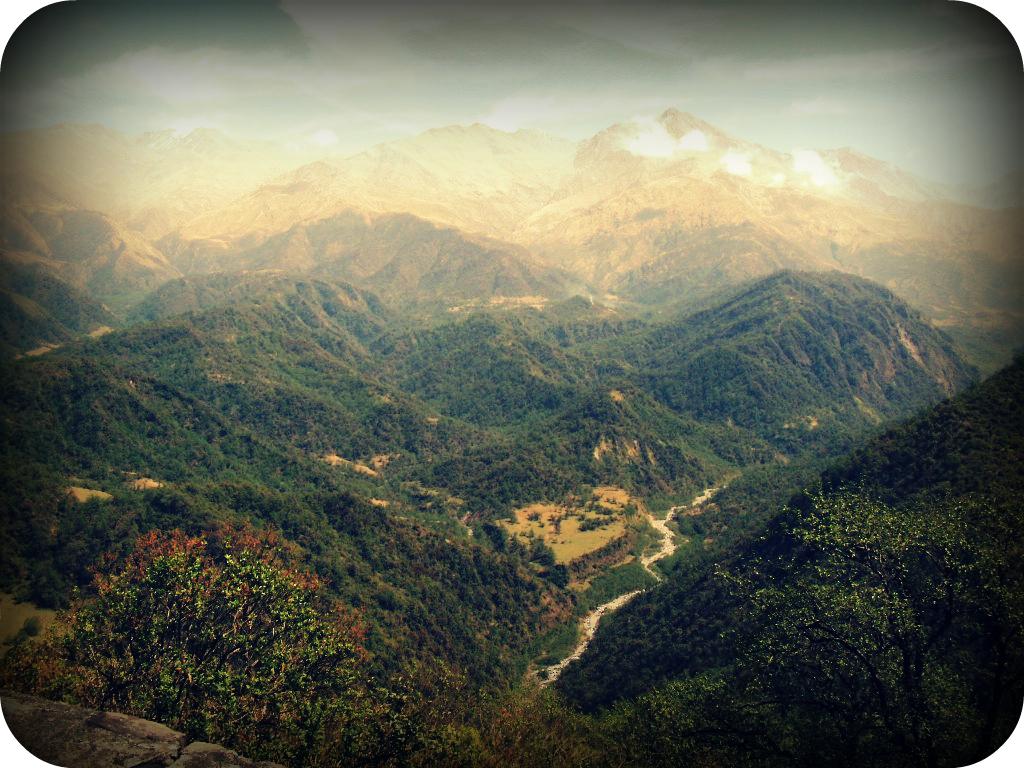 ~SELVAS YUNGAS: Relieve en las Yungas