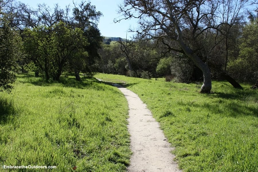 Embrace the Outdoors: Sunol Regional Wilderness Hike