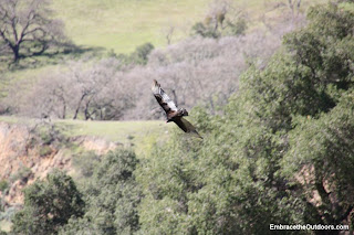 Embrace the Outdoors: Sunol Regional Wilderness Hike