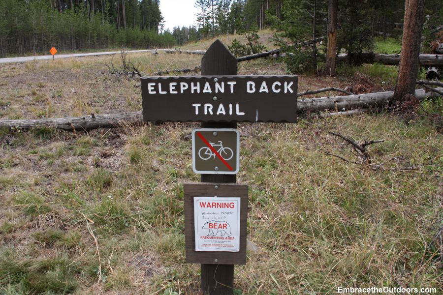 Embrace the Outdoors: Elephant Back Mountain, Yellowstone NP