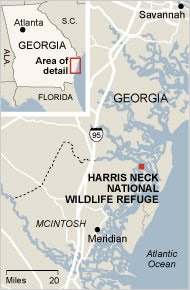 Lost in the Ozone...: Displaced Black Landowners Fight to Reclaim ...