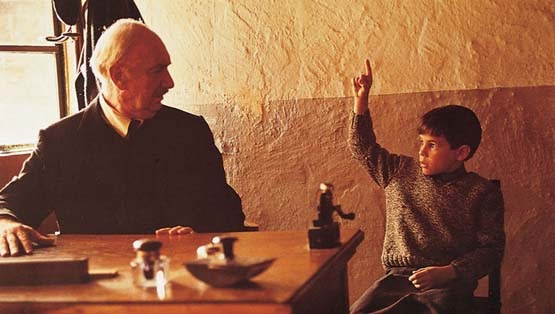 "¡Sapo! ¡Tilonorrinco! ¡Iris!"