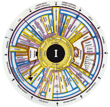 "IRIDOLOGIA COMPUTARIZADA " Tel. 7449091270: DENSIDAD DEL IRIS