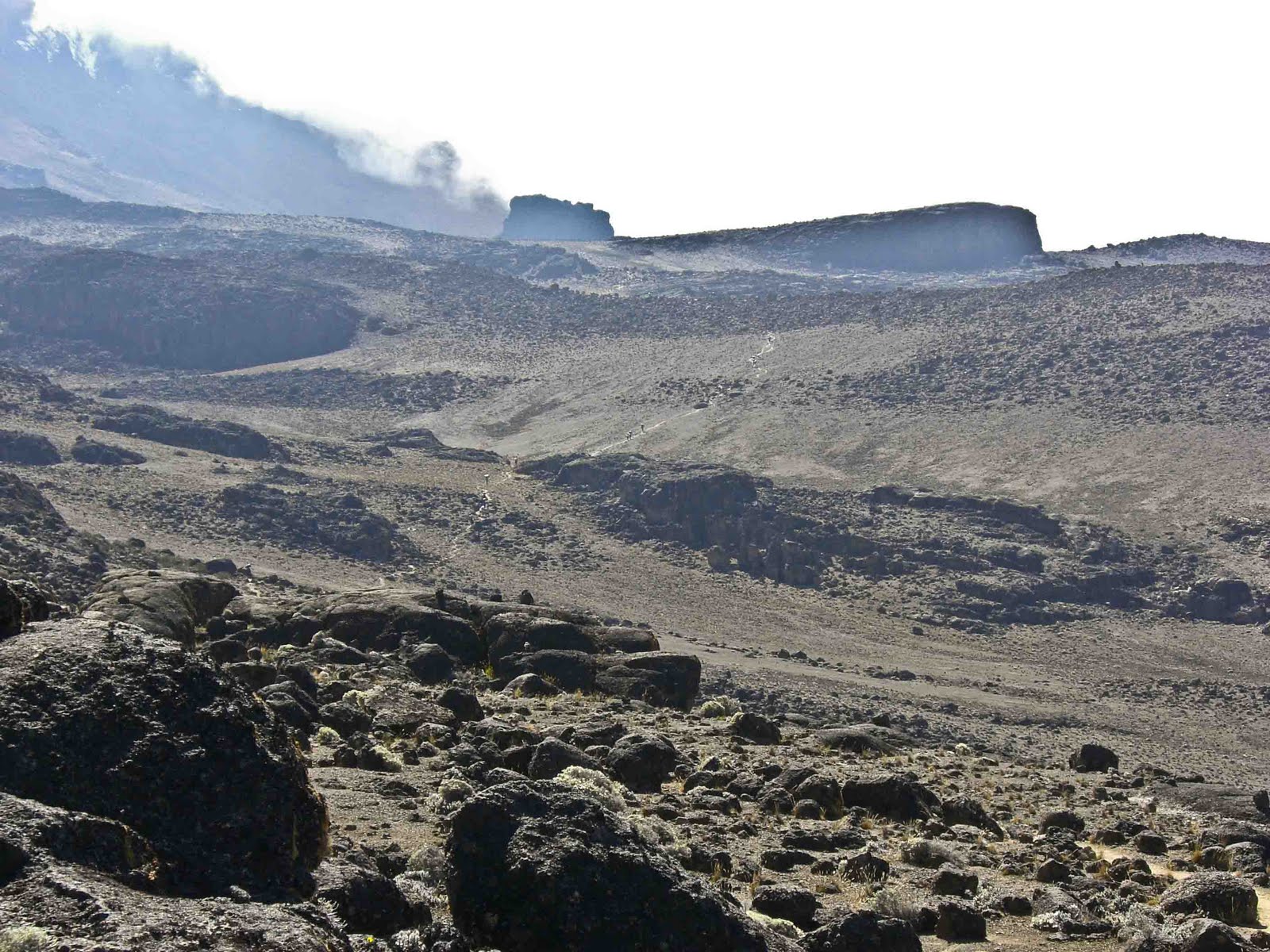 Kilimanjaro Trek, Shira Route - Day 4 (Moir Hut Camp to Lava Tower Camp ...