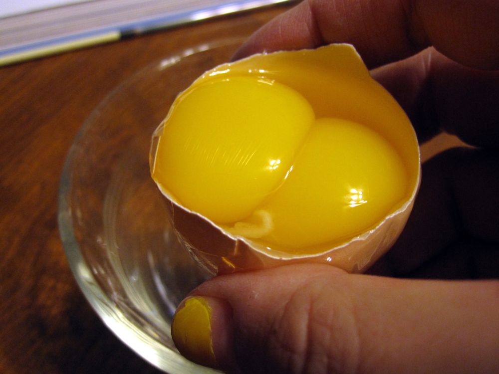 Happy Go Marni: Behold! Mystery Eggs! And These Are Nothing to Yolk ...