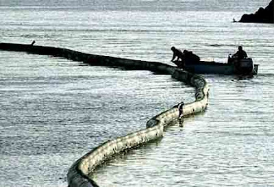 22saboresaberes: Maré Negra