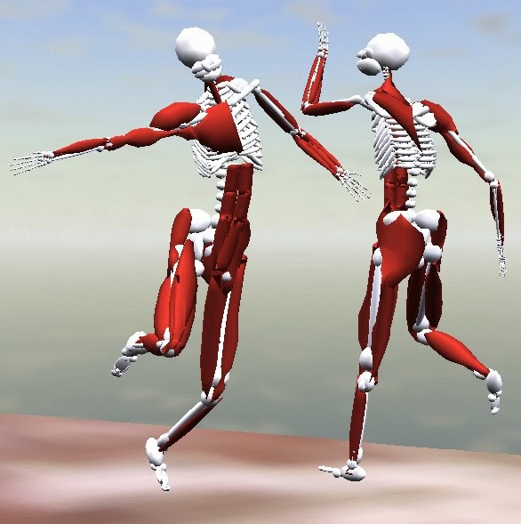 Conoce Tu Movimiento: Aparato Locomotor