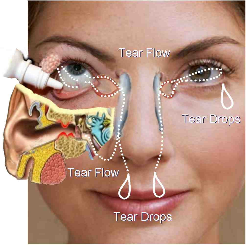How to find your way in the human zoo?