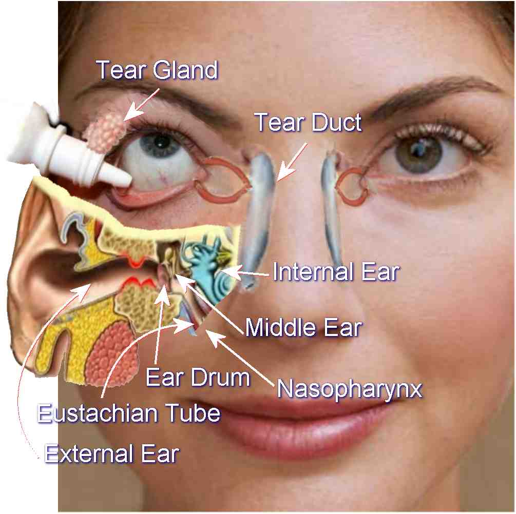 How to find your way in the human zoo?