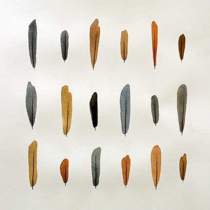 alisaburke: Inspiration: Feathers