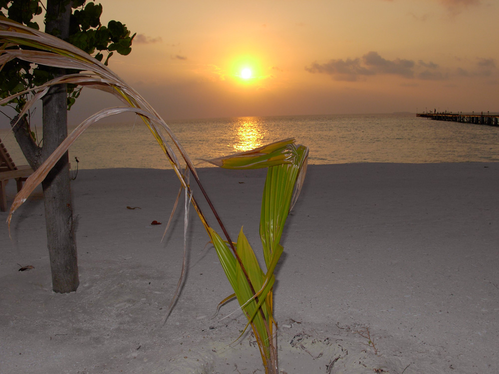 OmarMagazine: MALDIVE: Fun Island