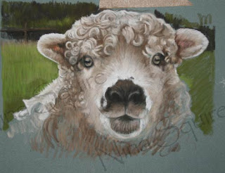 My sheep at The Anchor, Shapwick - Nina Squire
