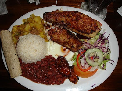 Typical Costa Rican food lunch