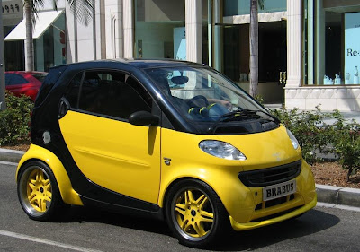 Hybrid Cars: Smart Car Body Kit: Custom