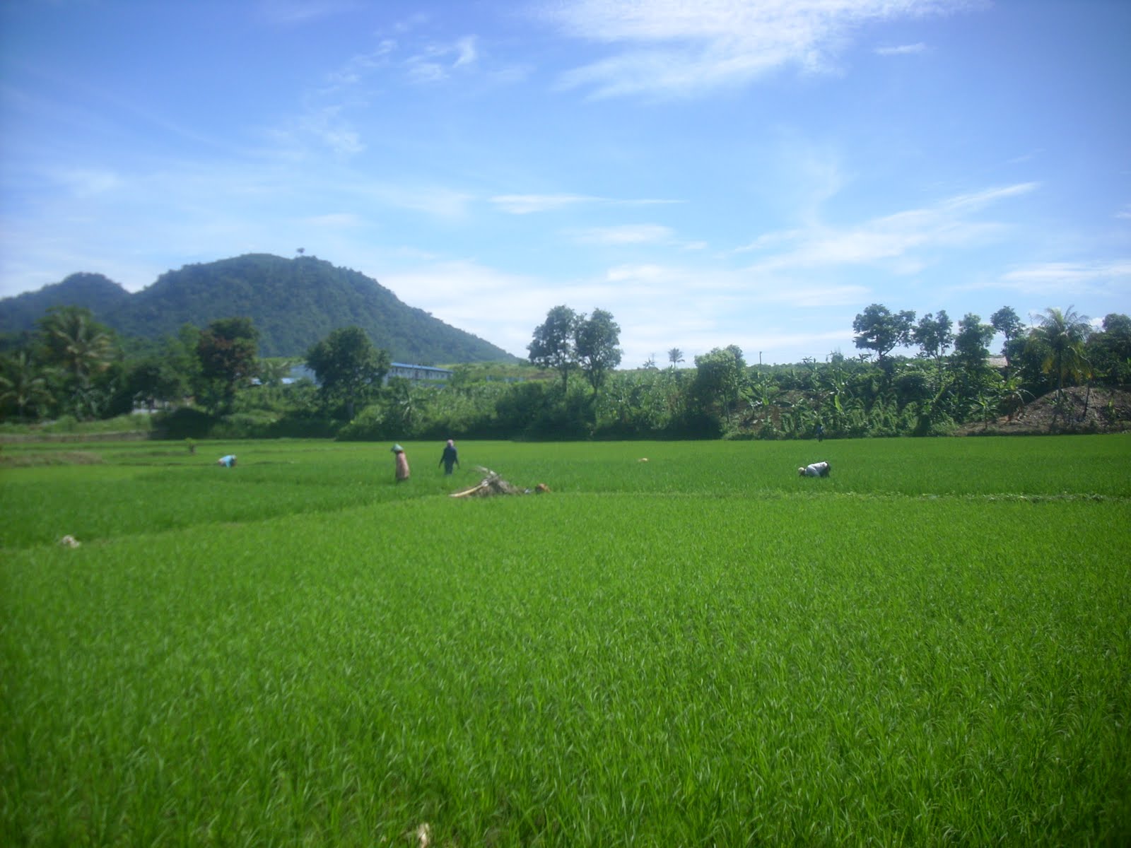 CINDE HAPPY ZONE: Great Natural view of village