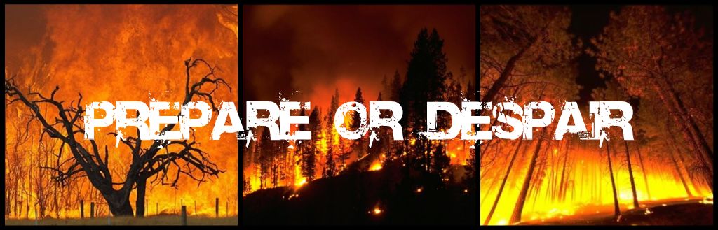 Prepare or Despair