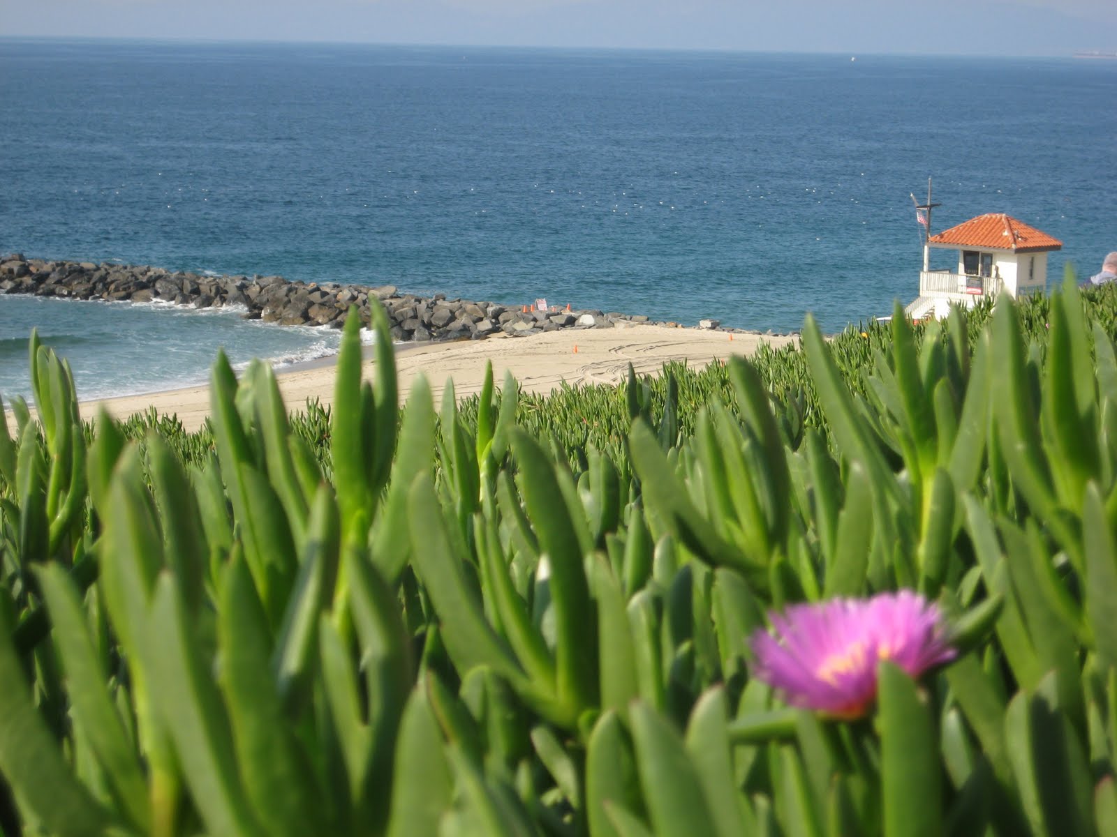 Life Buy the Beach: It felt like Spring at the beach today!