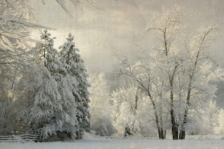 Elegant Abode: etsy find: lucy snowe photography