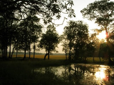 Colours of Bengal: Excavation at Moghalmari Buddhist Monastery, Paschim ...