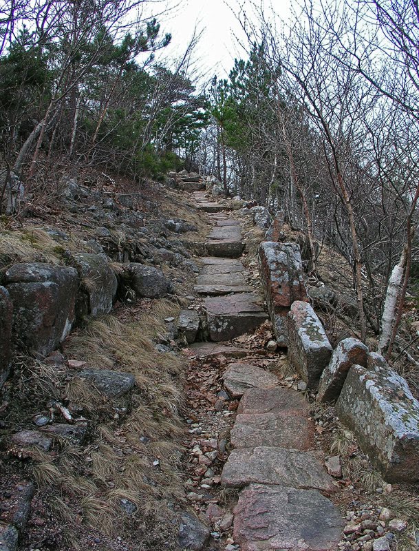 Hiking in Maine with Kelley: 4/3/10 Beachcroft Trail
