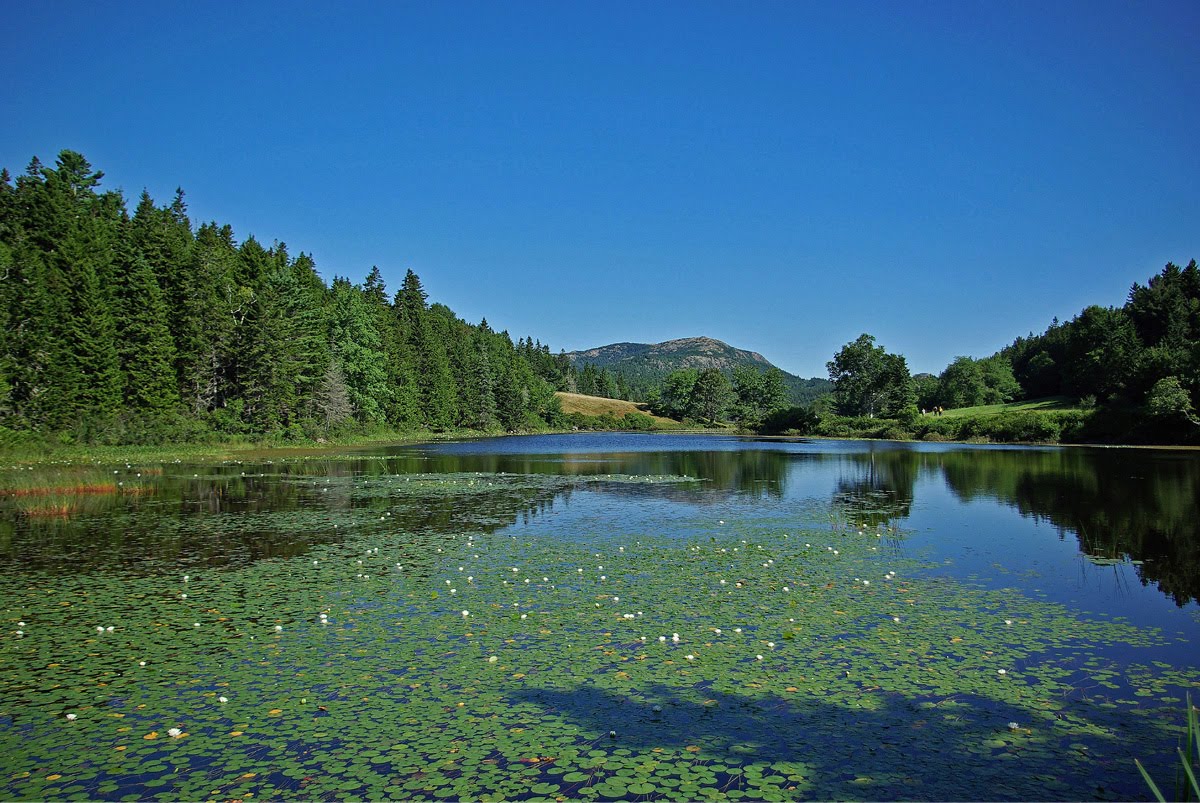 Hiking in Maine with Kelley: 8-7-10 Long Pond - Jordan Stream - Harbor ...