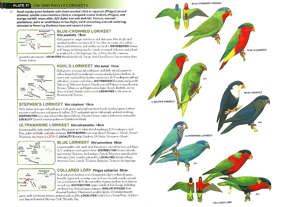 Christian Artuso: Birds, Wildlife: Parrots of The World