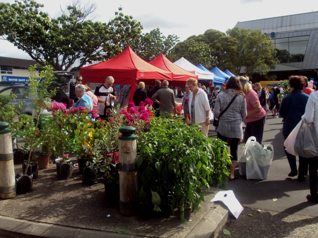 CattleClassQueen: Takapuna Flea Market: A Good Little Market to Visit