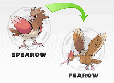 Pokémon: Spearow e Fearow
