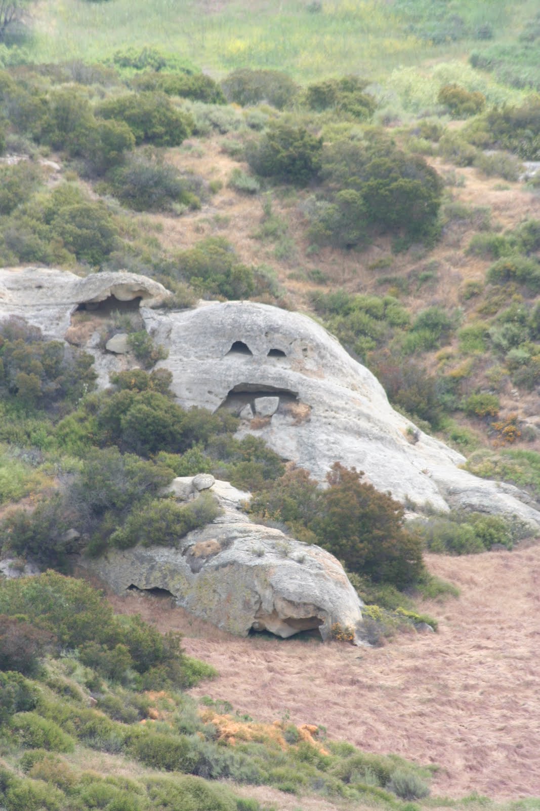 Lilly and the brothers: Hiking Willow Canyon in Laguna Beach