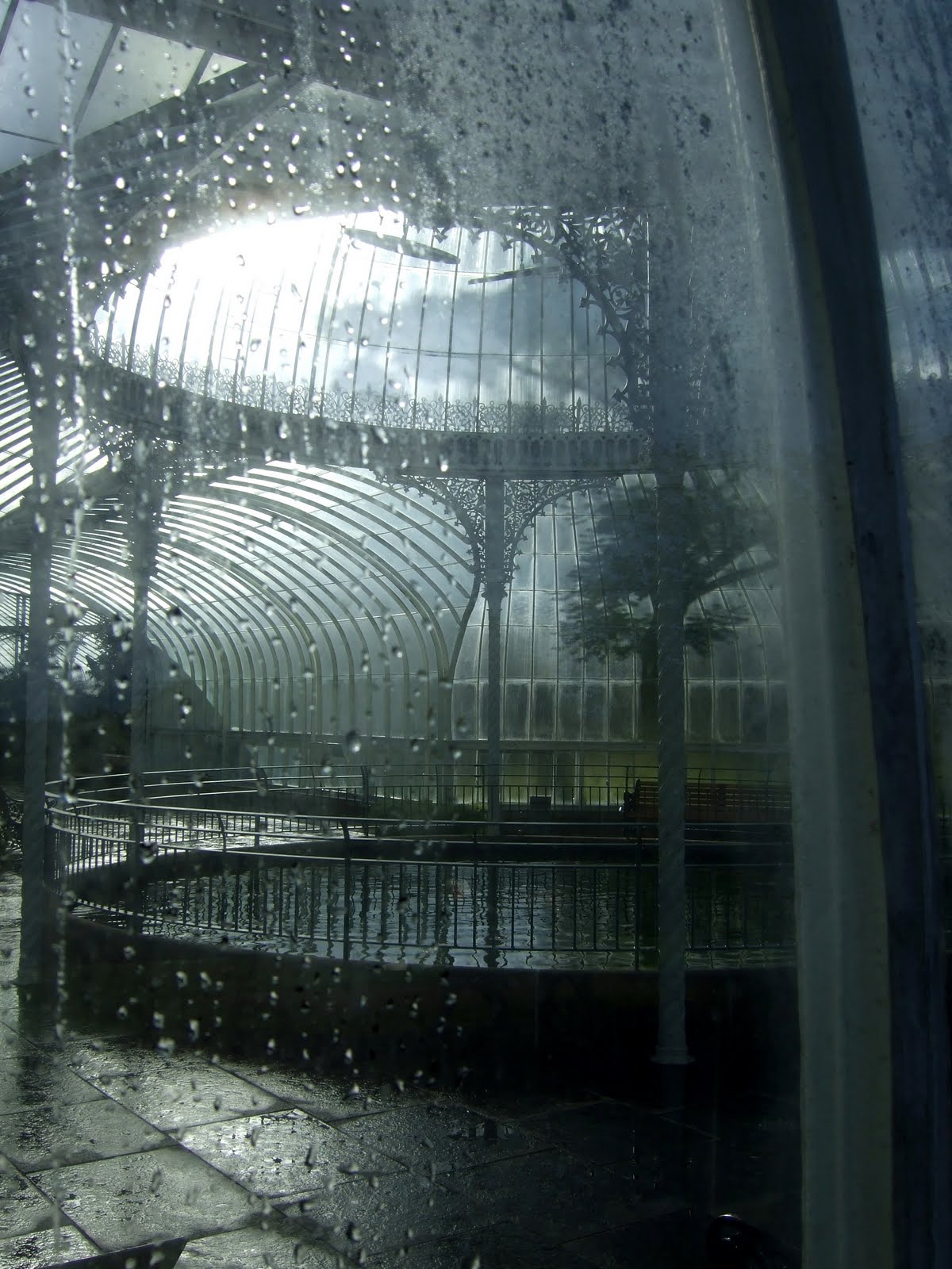Katie Smith: Botanics - Kibble Palace