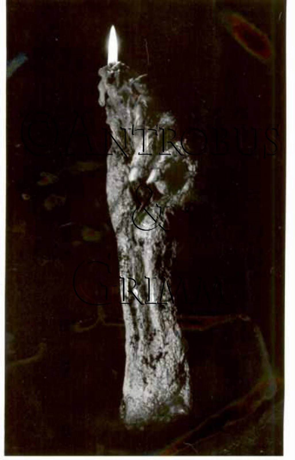 Marsha A. Moore: Beware of the gruesome Hand of Glory burning its spell ...