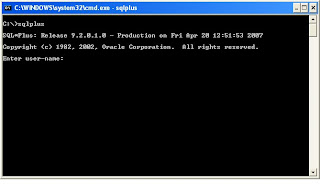 Journal of a Girl in IT: TNS Ping & SQLPLUS