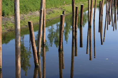 One Year in Amsterdam: houten palen