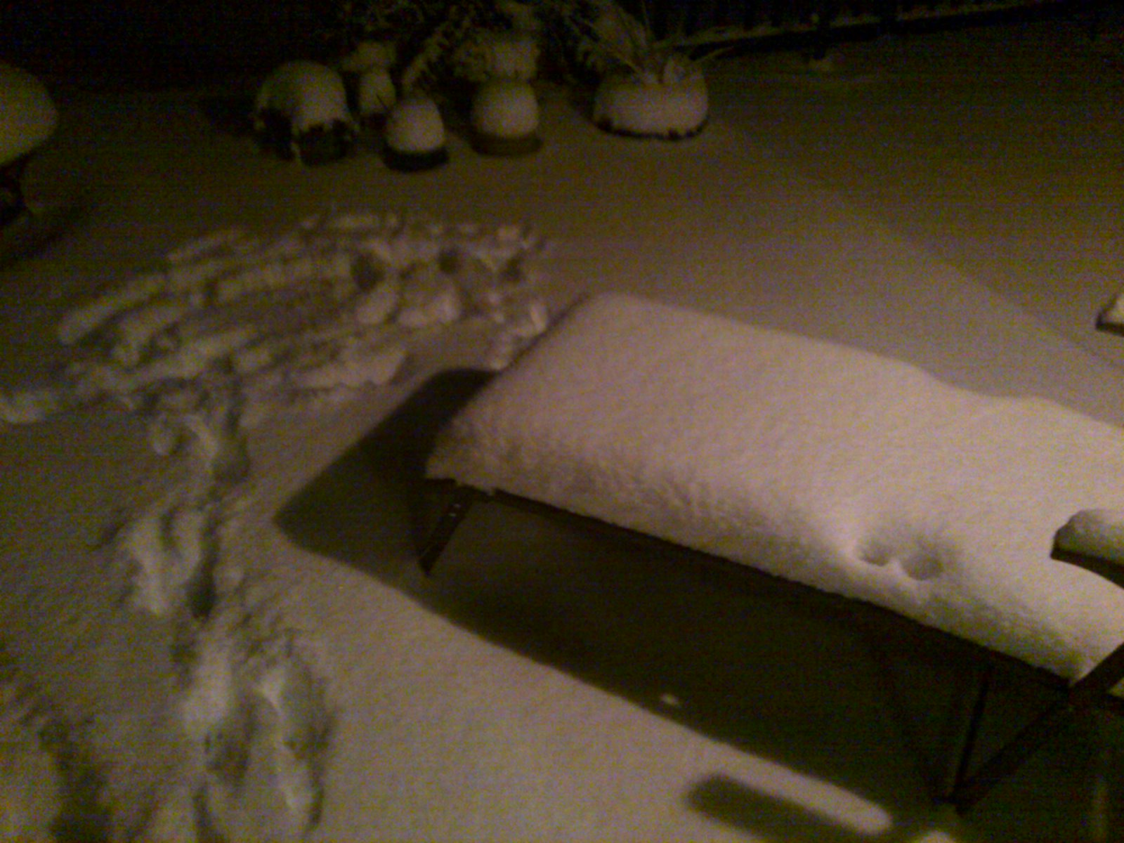 Barers of Maple Valley: Big Snowstorm Hits Seattle Area